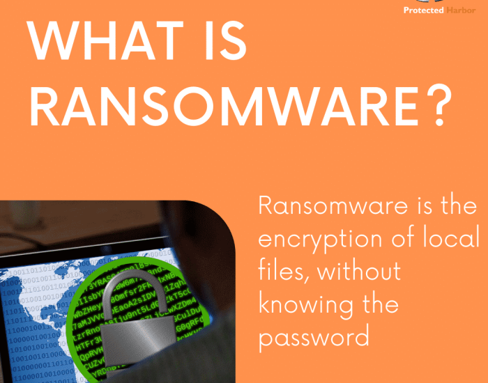 Top 10 Ransomware attacks in year 2021 - Protected Harbor Blogs