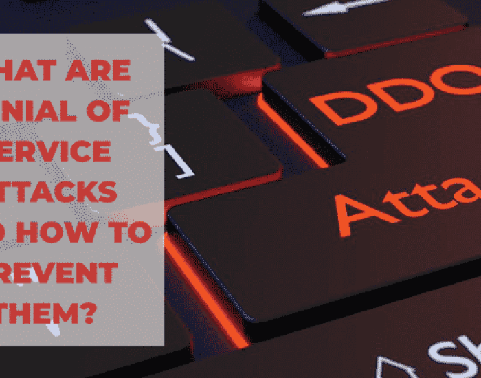 What Is A Data Breach How To Prevent One Protected Harbor Blogs